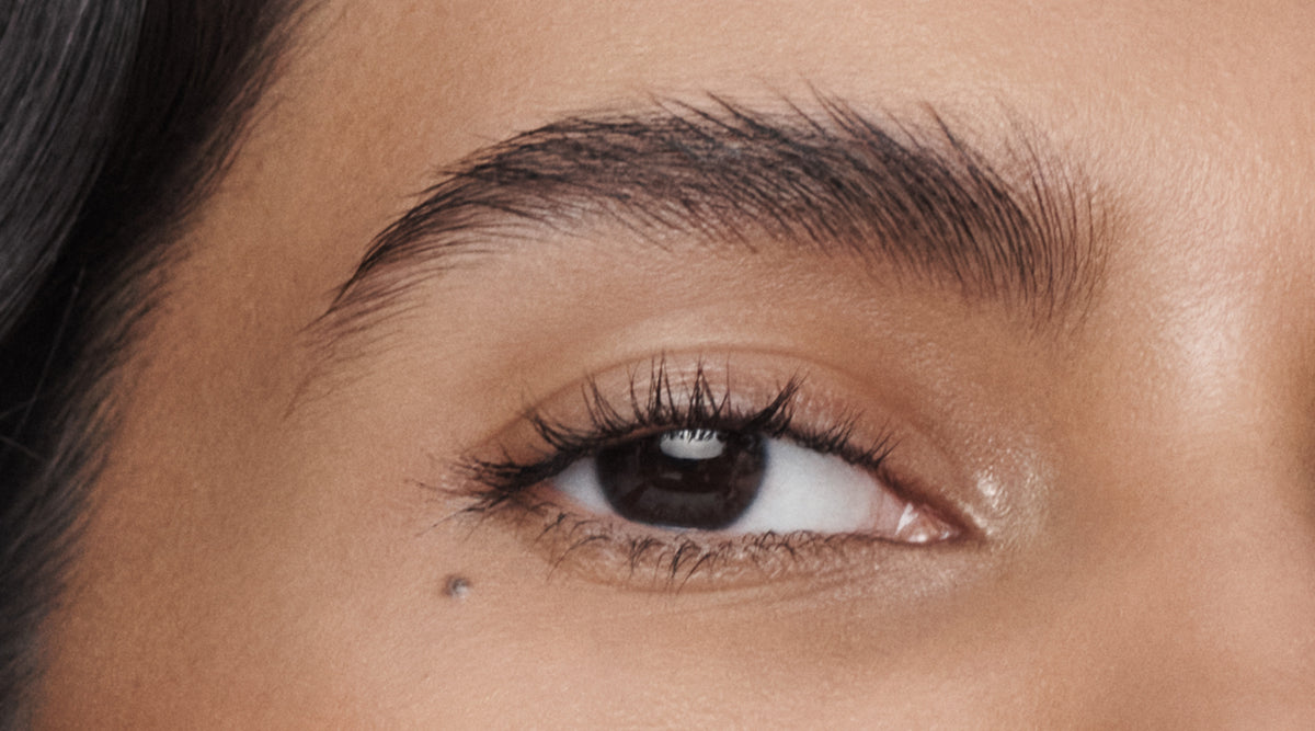 medium thick arched eyebrows